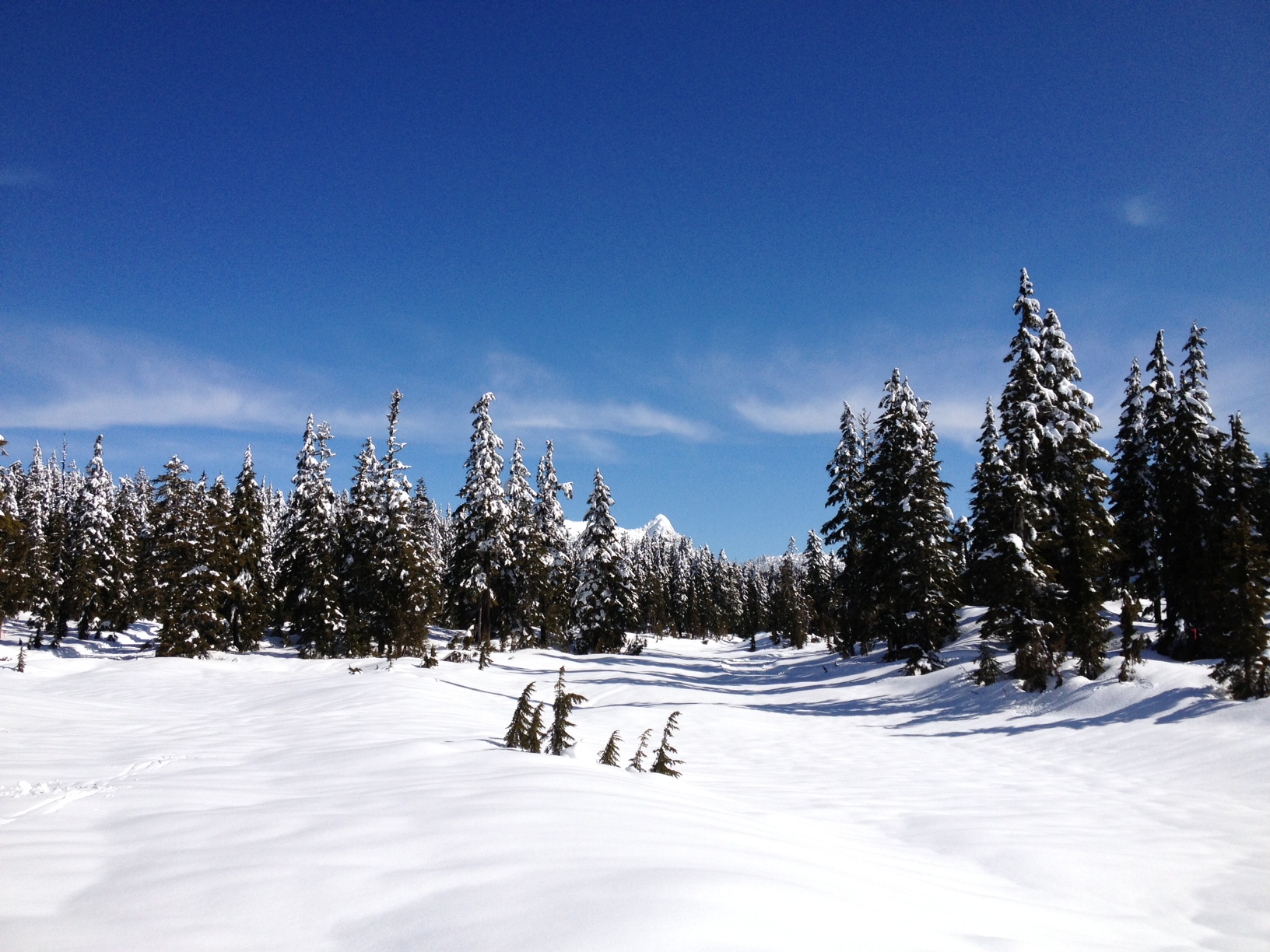 Winter - Up The Creek Backpacker's Lodge
